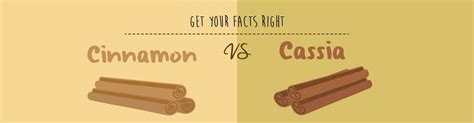 Get Your Facts Right On Cinnamon Vs Cassia Infographic