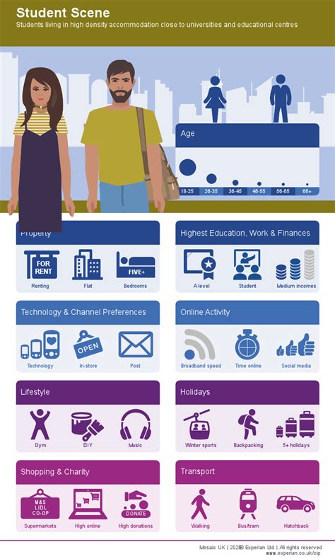 Mosaic Portrait Experian Consumer Information Portal