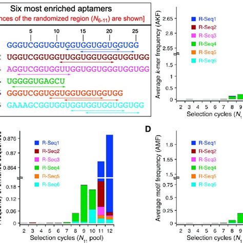 Analysis Of Sequencing Data Of Selex Selection Pools N 11 Library By Download Scientific
