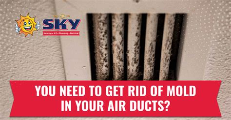 Mold In Air Ducts Common Reasons To Get Rid Of It Sky Heating