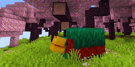 Minecraft Player Discovers Extremely Small Cherry Blossom Biome