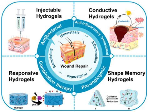 Jfb Special Issue Advances In Multifunctional Hydrogels For