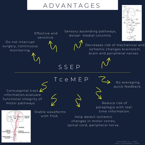 Info Of The Day The Advantages And Disadvantages Of Intraoperative Sep And Mep”