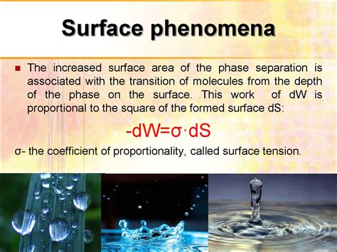 Physical Chemistry Of Surface Phenomena Basics Of