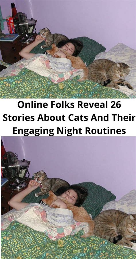 Online Folks Reveal 26 Stories About Cats And Their Engaging Night