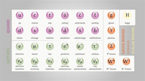 Premium Vector Table Of Elementary Particles