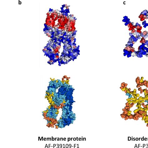 Examples Of Protein Structural Models As Reported In The A3d Yeast