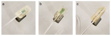 Coherence Domain Probes For Esophageal Imaging Biomedical Interferometry Optics And Spectroscopy