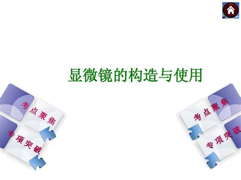显微镜的结构及使用 25ppt Word文档在线阅读与下载 免费文档