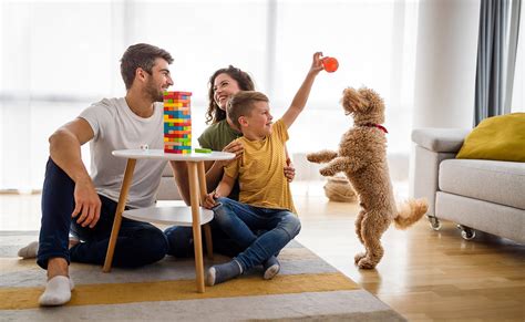 Jugar En Familia