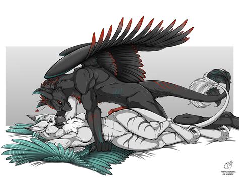 Rule 34 Accipitrid Accipitriform Animal Genitalia Animal Humanoid