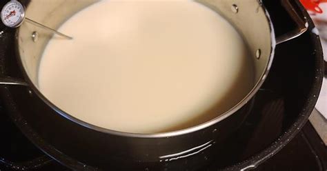 First Time Making Mozzarella Album On Imgur