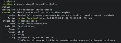 How To Install Freeipa Server With Docker On Debian 12