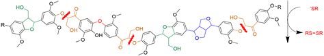 New Lignin Splitting Method Inspired By Nature Great Lakes Bioenergy