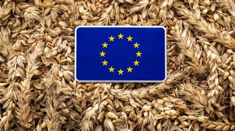 Fred Kariuki On Linkedin Fao Official Eu Shouldnt Sacrifice Food Output In Sustainabilitys Name