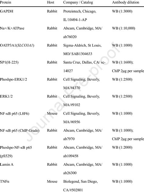 Antibodies Used In Western Blot Chromatin Immunoprecipitation Download Scientific Diagram
