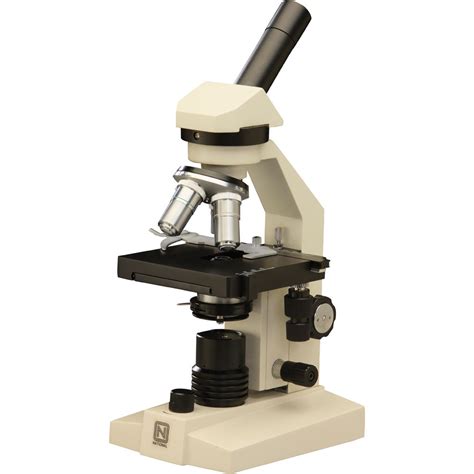 Unlabeled Light Microscope Diagram