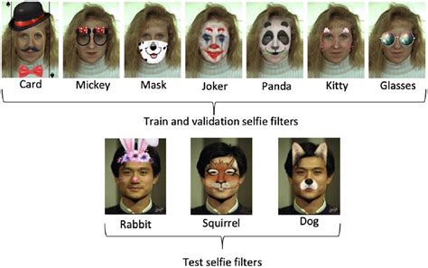 Fun Selfie Filters Used For Training Validation And Testing