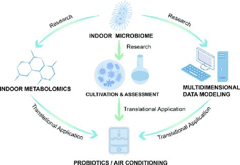 Future Directions And Perspectives In The Indoor Microbiome Field