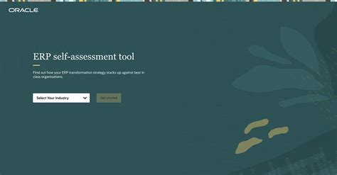 Oracle Erp Self Assessment Tool For Cios