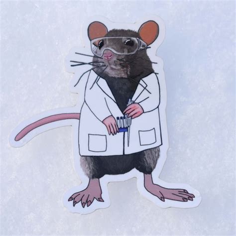 Superkitties Lab Rat Etsy