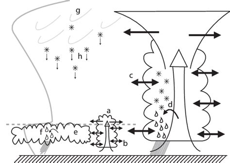 Illustration Of The Major Uncertain Climate Related Cloud Processes
