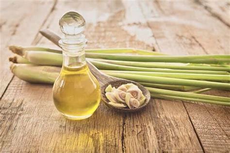 น้ำมันหอมระเหยตะไคร้ Pratintip Artist Perfume Facebook