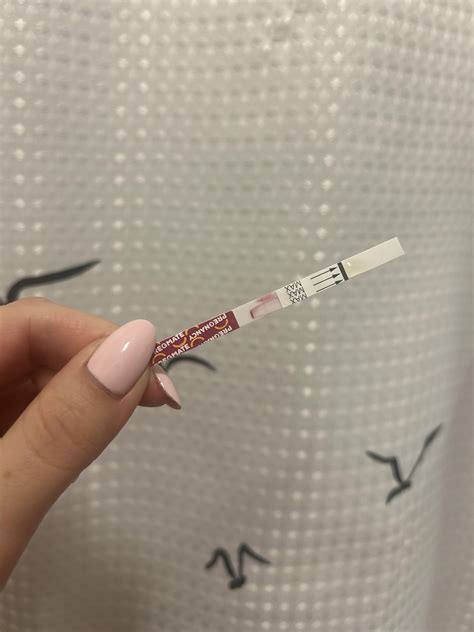 Faulty Test Or Actually Pregnant Cd 23 Pregmate Rtfablineporn