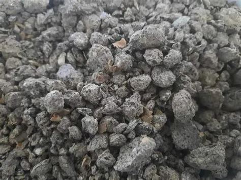 50 Kg Bag Powder Castor De Oil Cake At Rs 5kg In Ahmedabad Id