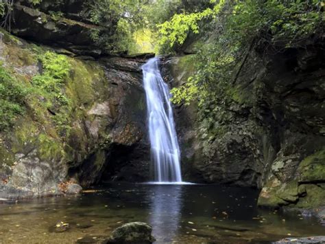 Mejores Bosques Nacionales Para Caminar En Los Estados Unidos El Blog Del Viajero