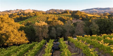 Wine Country Vineyard Hiking Adventures In Sonoma County Local Getaways