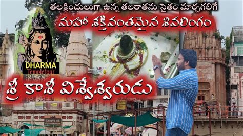 చేతిరేఖలతో పాటు నుదుటిరాత కూడా మారిపోయే గొప్ప శక్తి శ్రీ కాశీ