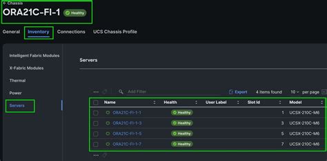 FlexPod Datacenter With Oracle C RAC DNFS On Cisco UCS X Series G Fabric And NetApp
