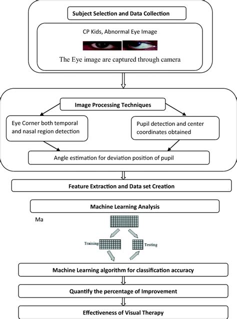 Architecture Of Summarized Methodology Download Scientific Diagram
