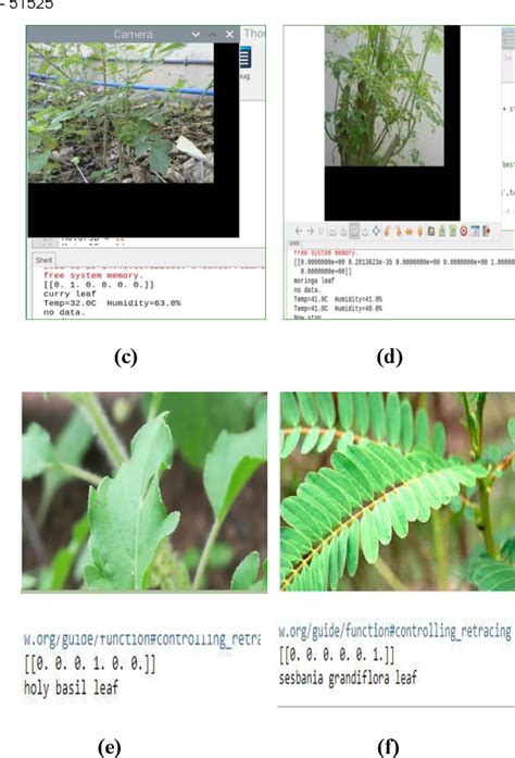 Figure 1 From Development Of A Real Time Plant Species Recognizing Rover Semantic Scholar