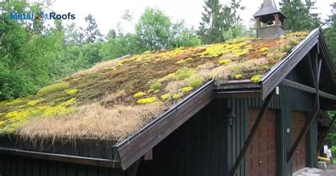 What Is Roof Substrate
