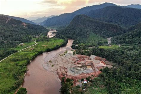 Nuevo Estudio Indica Que El 38 De Los Bosques Amazónicos Están