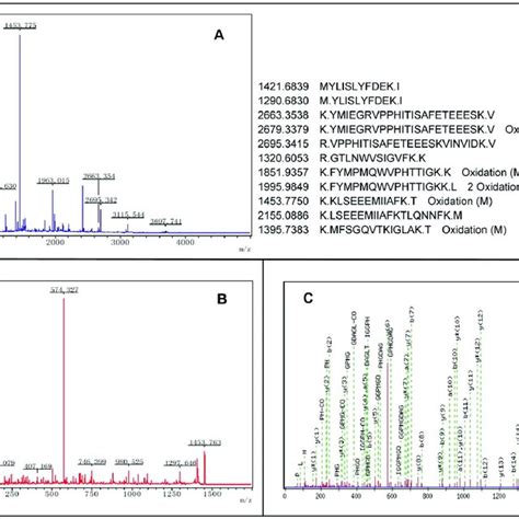 Representative Ms Spectra Of Proteins Identified By Maldi Tof Tof Ms