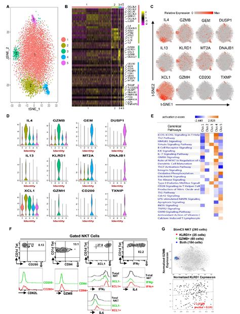 Figure 3 From Single Cell Rna Seq Analysis Uncovers Distinct Functional