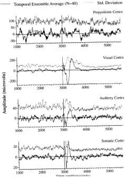 Each Time Ensemble Average And Sd Were From The 40 Spatial Ensemble