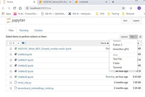 run a deep learning demo with python3 binding to healthshare part ii