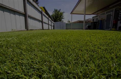 Synthetic Grass Associated Synthetic Grass