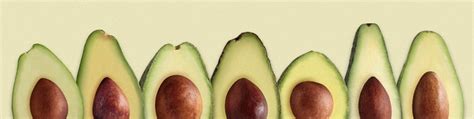 Types Of Avocado Trees