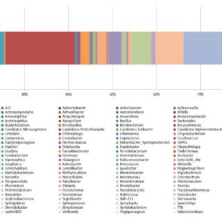 Using FastQC Tools We Show The GC Content Of The Garden Soil Sample