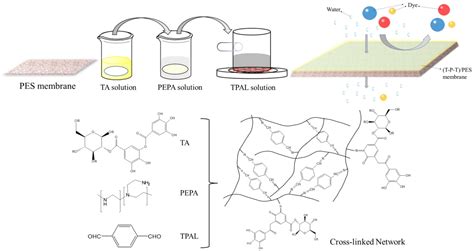 Interfacial Polymerization On Polyethersulfone Ultrafiltration Membrane