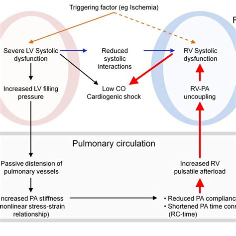 Pulmonary Artery Compliance And Time Constant In Survivors And Non