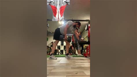 زیر بغل اره ای دمبل Youtube