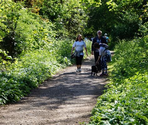 Arthurs Spring Stroll Cobalt Health