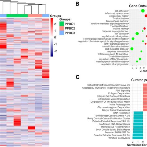 a unsupervised hierarchical clustering of 10 samples across three ppbc