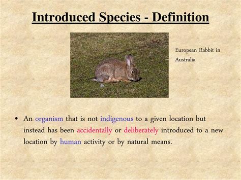 Introduced Species Definition
